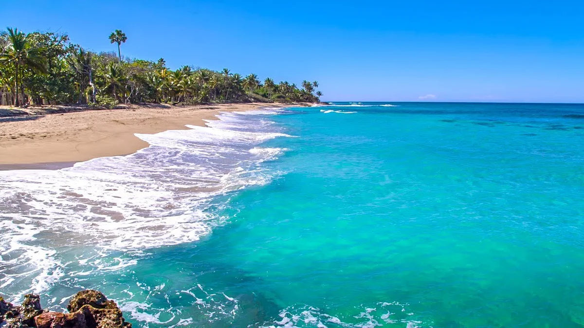 Beach Time of Reflection – Pathway to Purpose